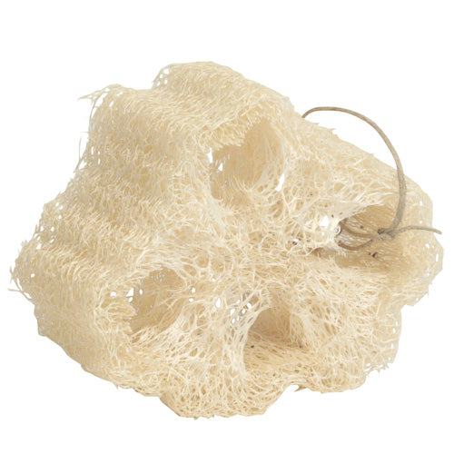 Mayan Lufa Sponge – Natural Art Supplies