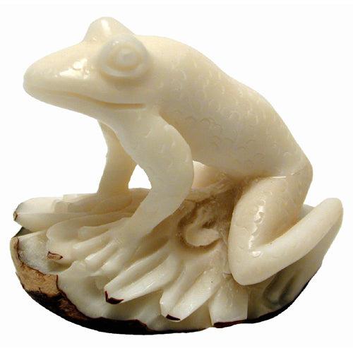 Tree Frog in Relief Tagua Figurine – Natural Art Supplies